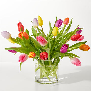 Clover Florist | Same Day Flower Delivery by The Owls Nest Florist